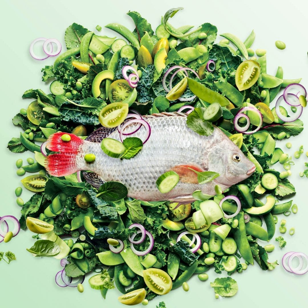 High Liner Culinary | Milestone Integrated Marketing